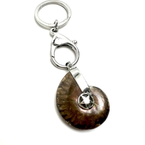 Accessories | Nwt Rare Iridescent Ammonite Shell Gem Fossil Specimen ...